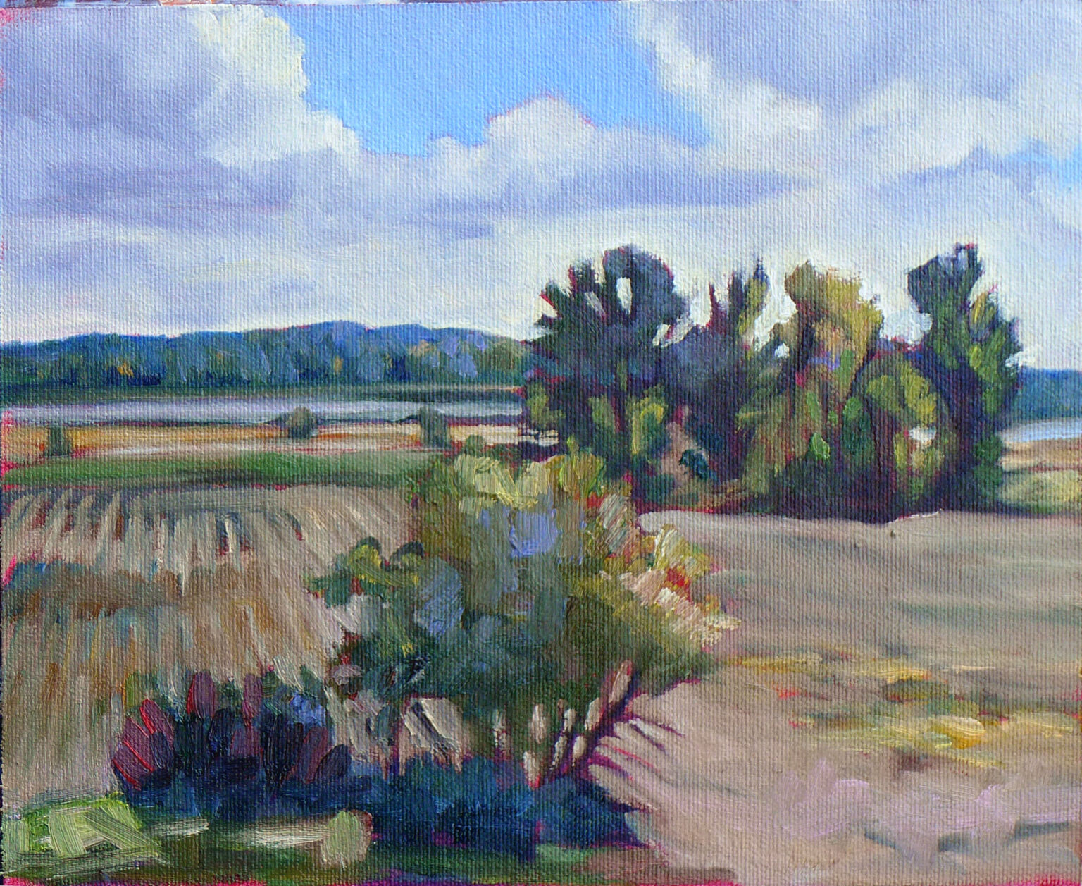 Monday Morning Art School: do you see what I see? | Carol L. Douglas