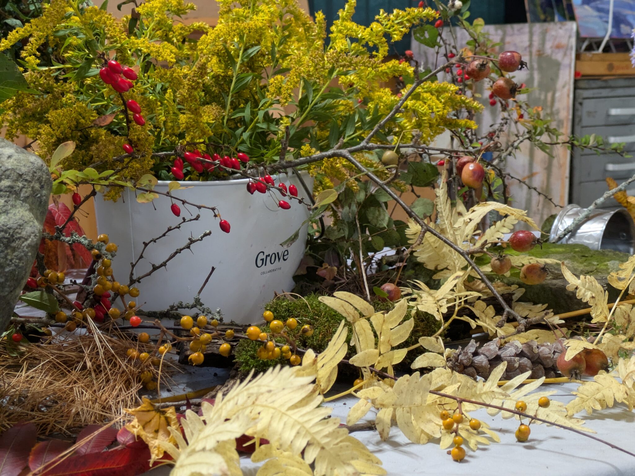 Monday Morning Art School: setting up a still life | Carol L. Douglas