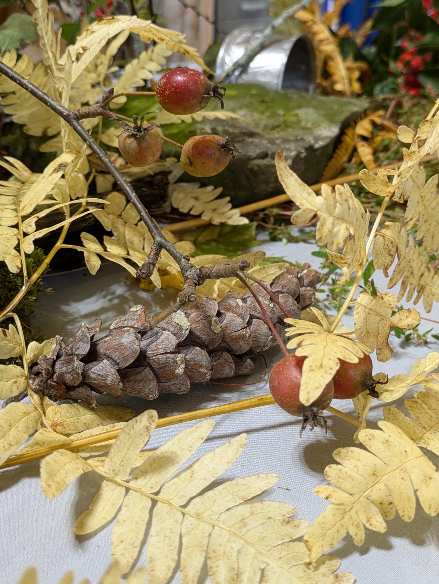 Monday Morning Art School: setting up a still life | Carol L. Douglas