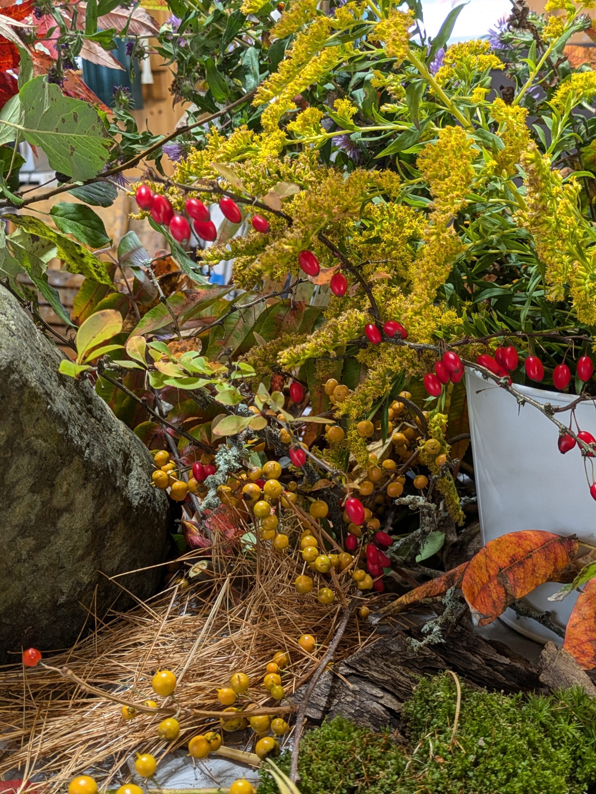 Monday Morning Art School: setting up a still life | Carol L. Douglas